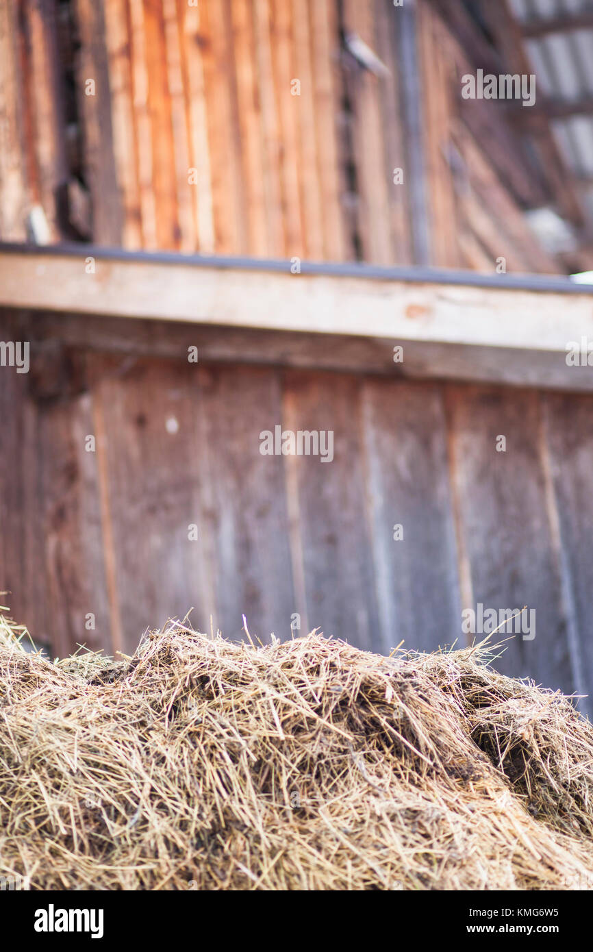 Haystack structure hi-res stock photography and images - Alamy