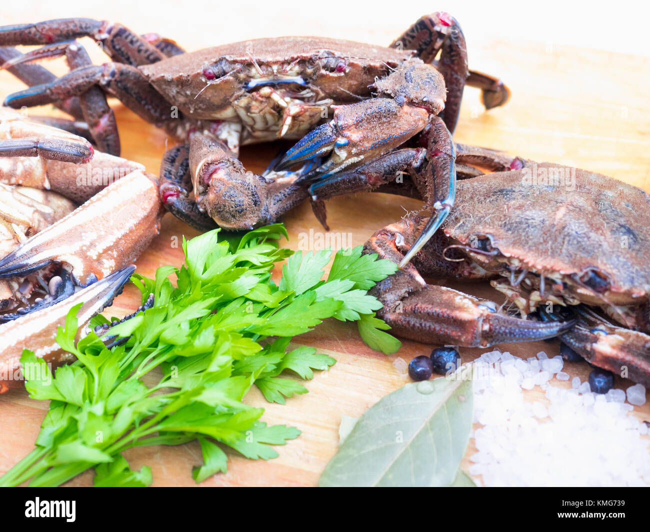 Velvet crab hi-res stock photography and images - Alamy