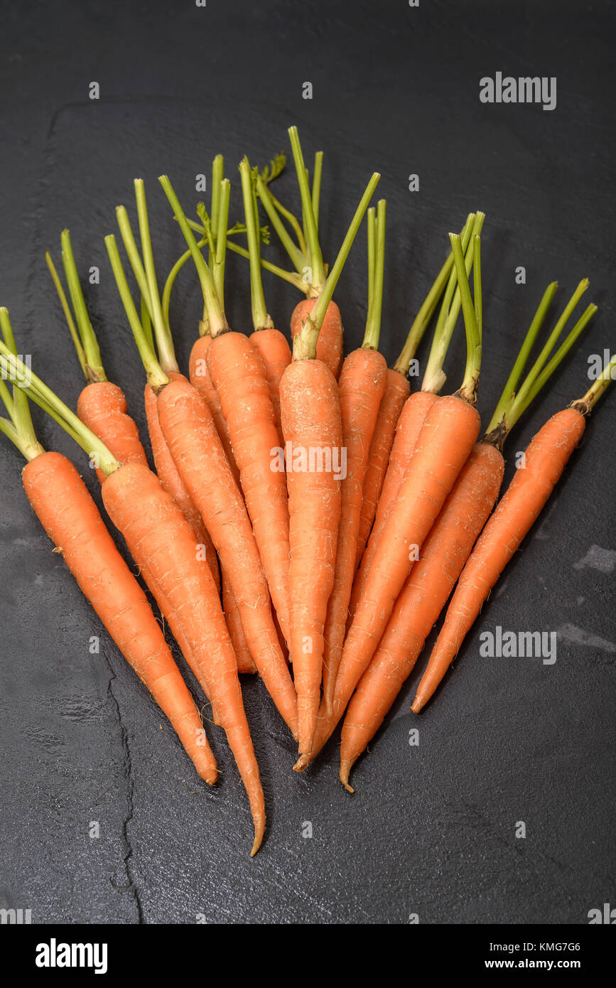 Petite eau de jardin hi-res stock photography and images - Alamy