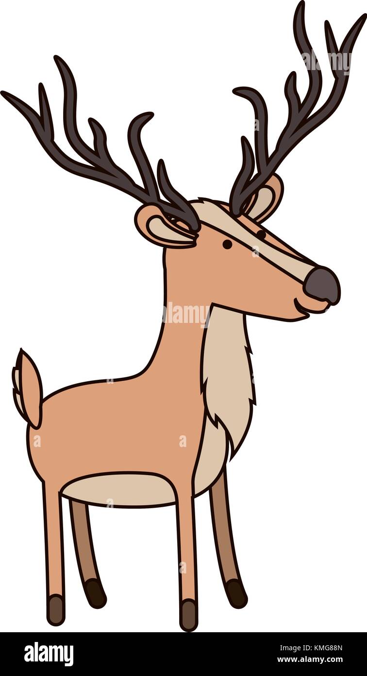 Caribou Cartoon