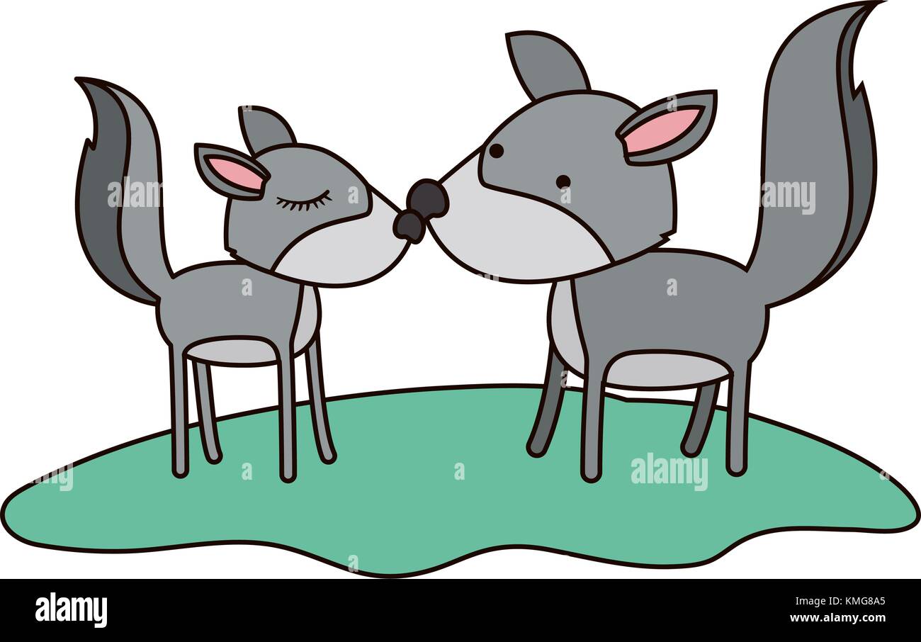 wolves couple over grass in colorful silhouette on white background ...