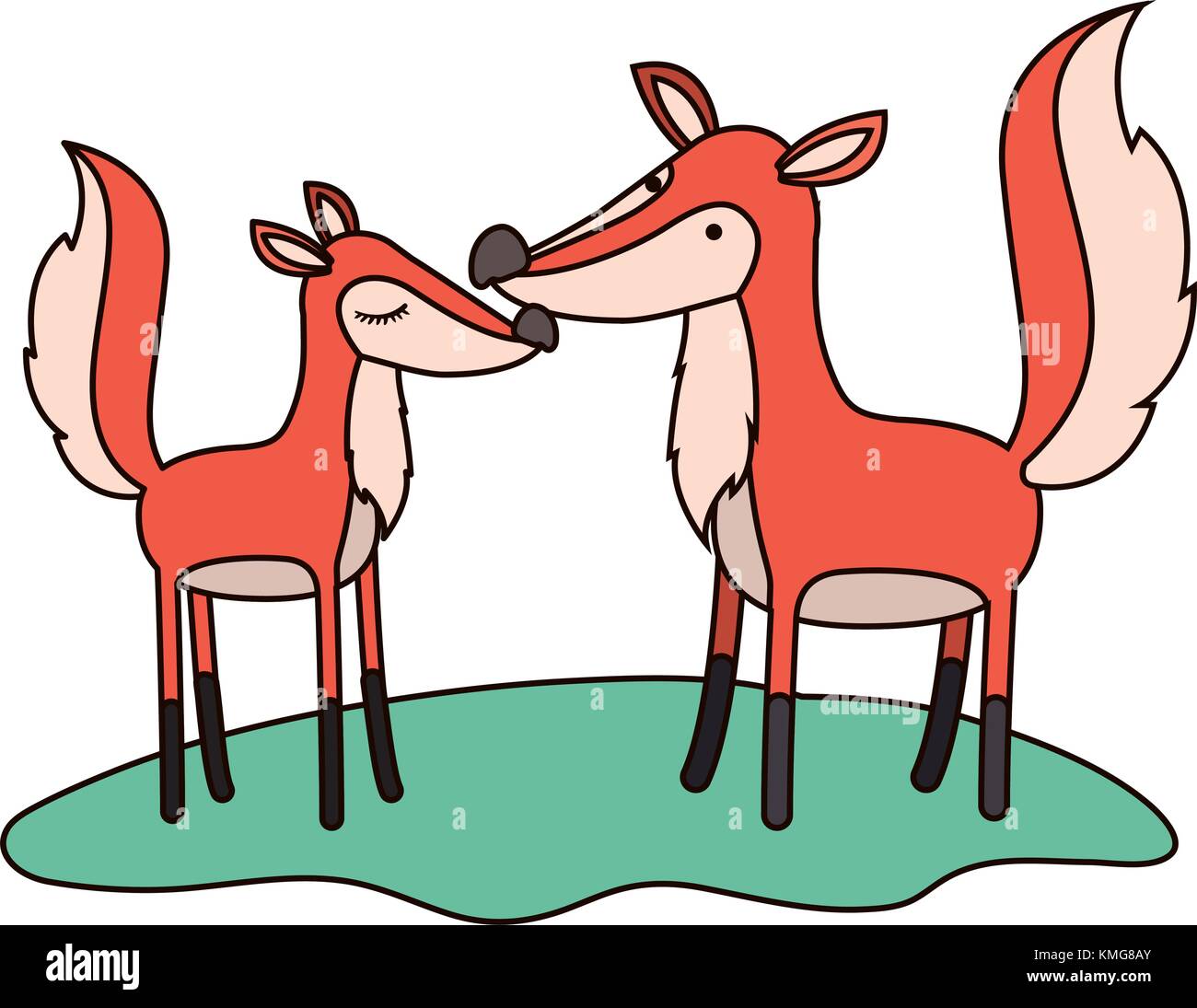 fox couple over grass in colorful silhouette on white background Stock ...