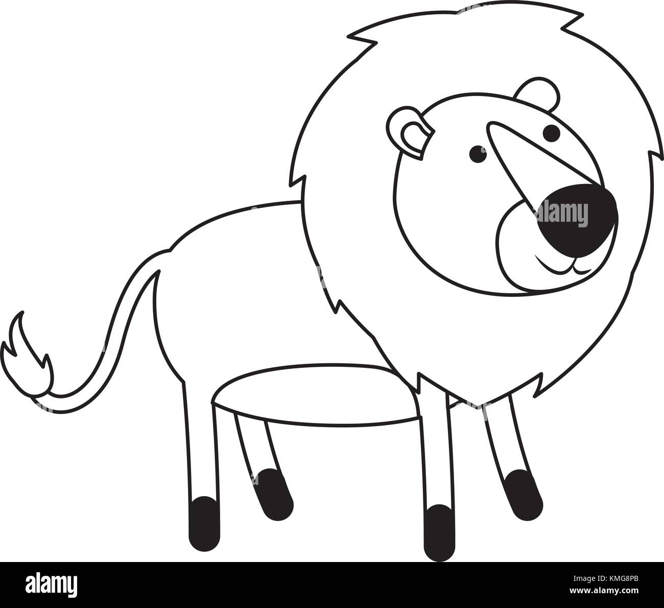 Thin Male Lion High Resolution Stock Photography and Images - Alamy