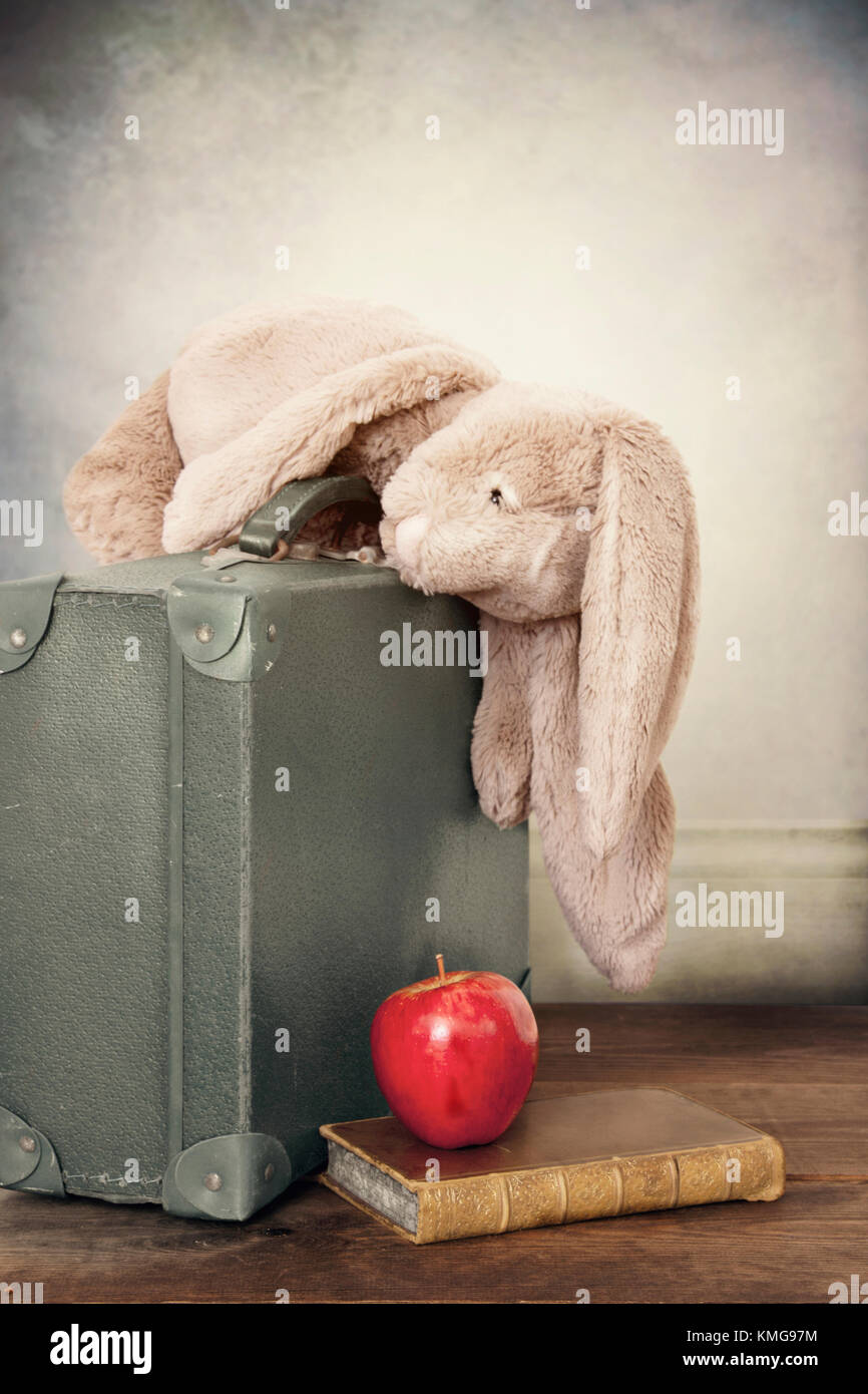 Old bunny toy hi-res stock photography and images - Alamy