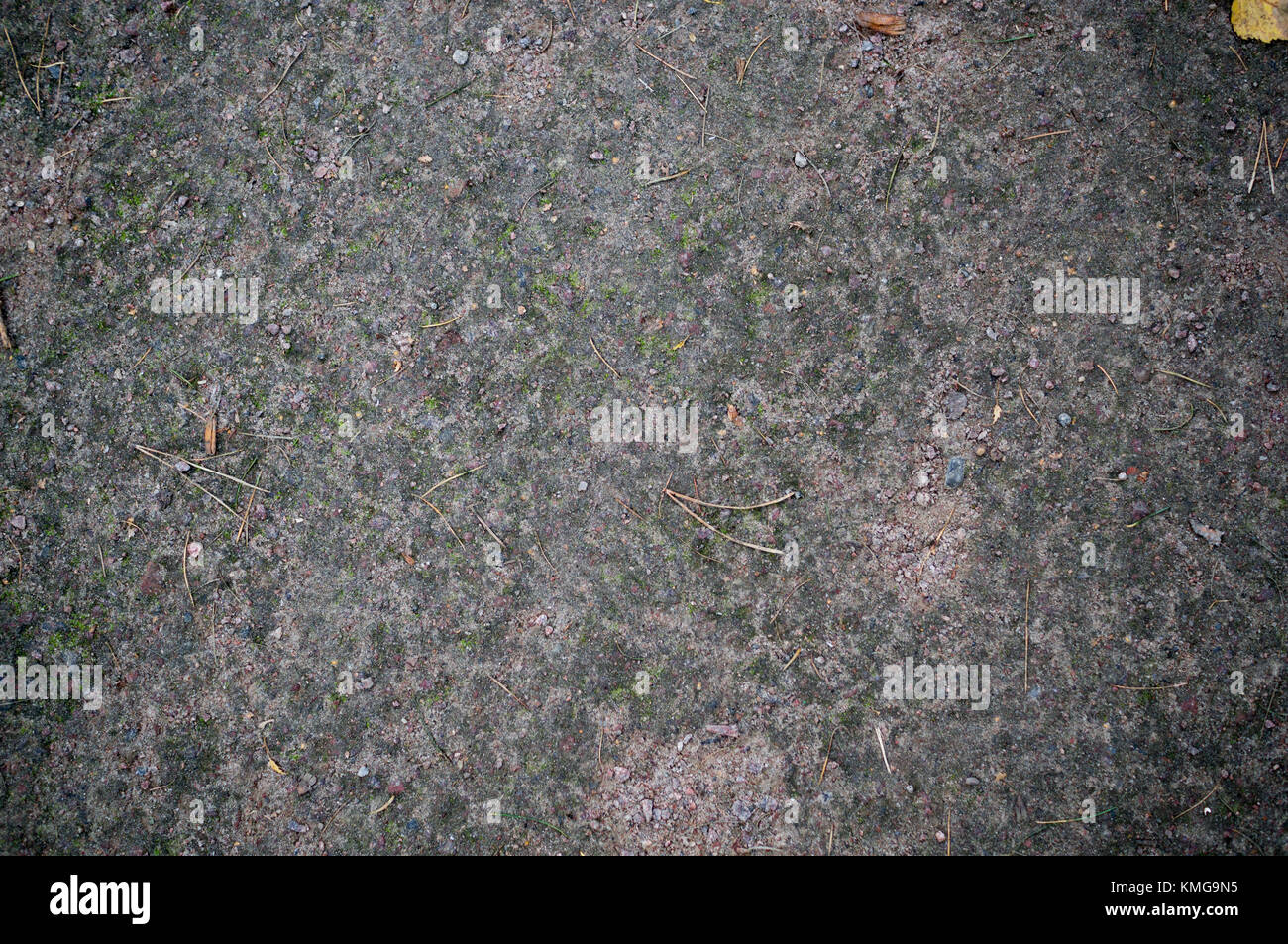 forest ground texture with some moss. background Stock Photo - Alamy