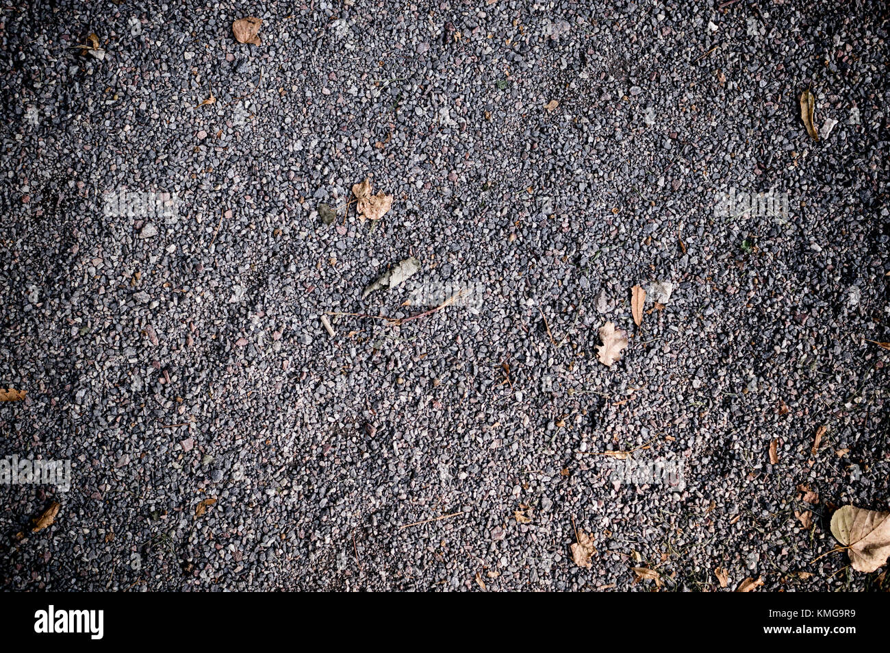gray grainy sandy ground with leaves. background, texture Stock Photo ...