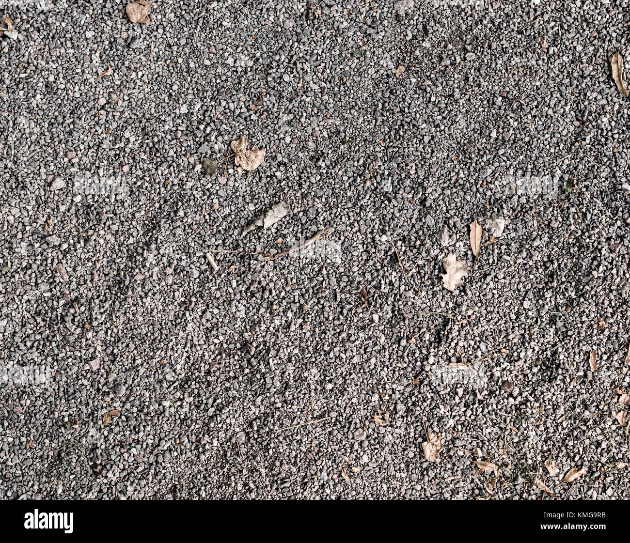 gray grainy sandy ground with leaves. background, texture Stock Photo ...