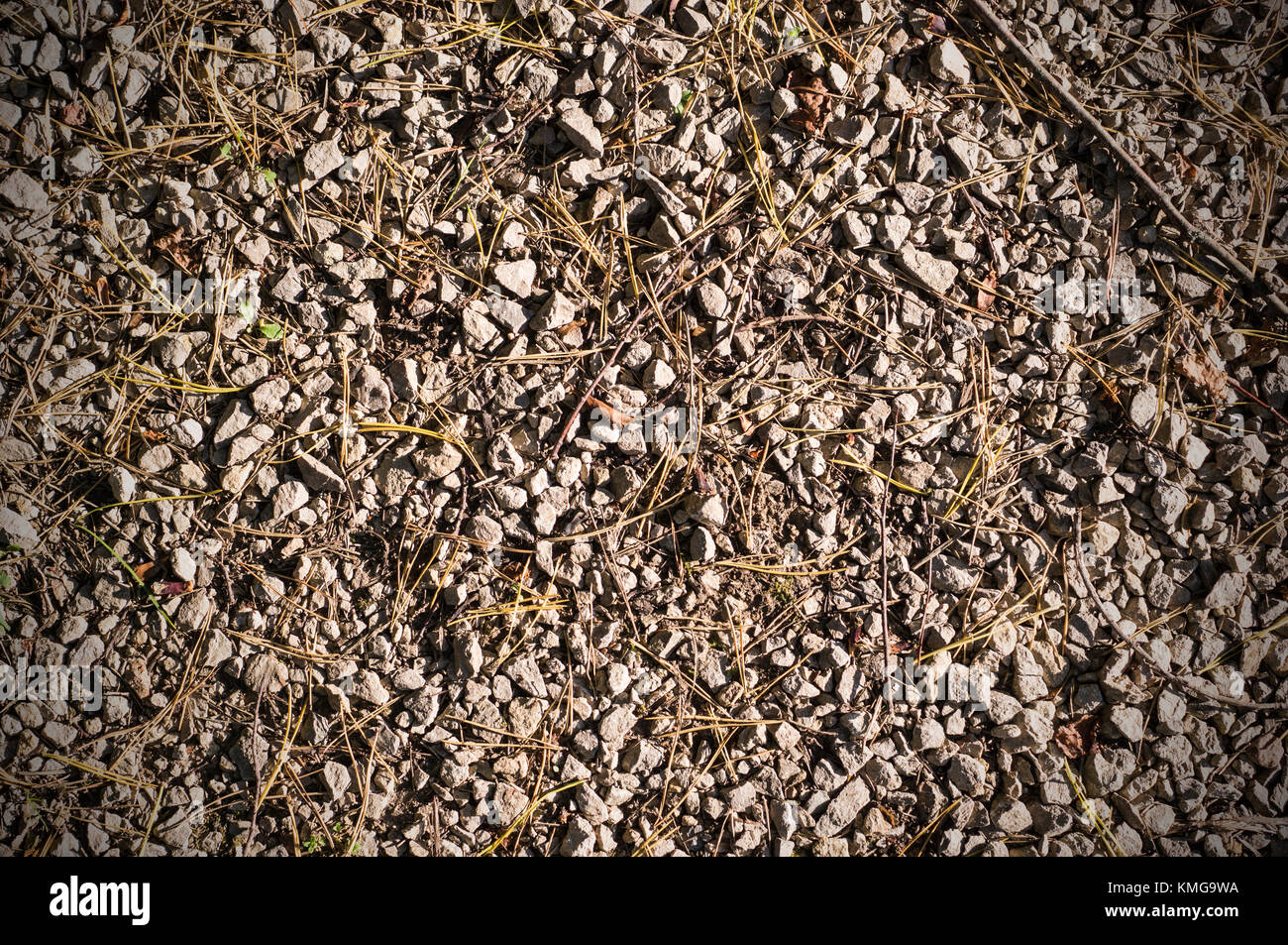 Rocky ground ground hi-res stock photography and images - Alamy