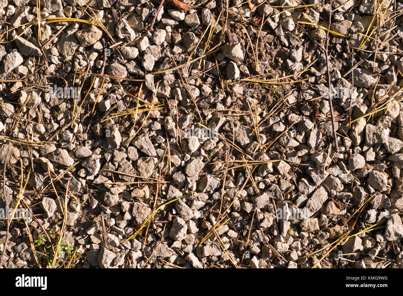 rocky ground texture at autumn. background Stock Photo - Alamy