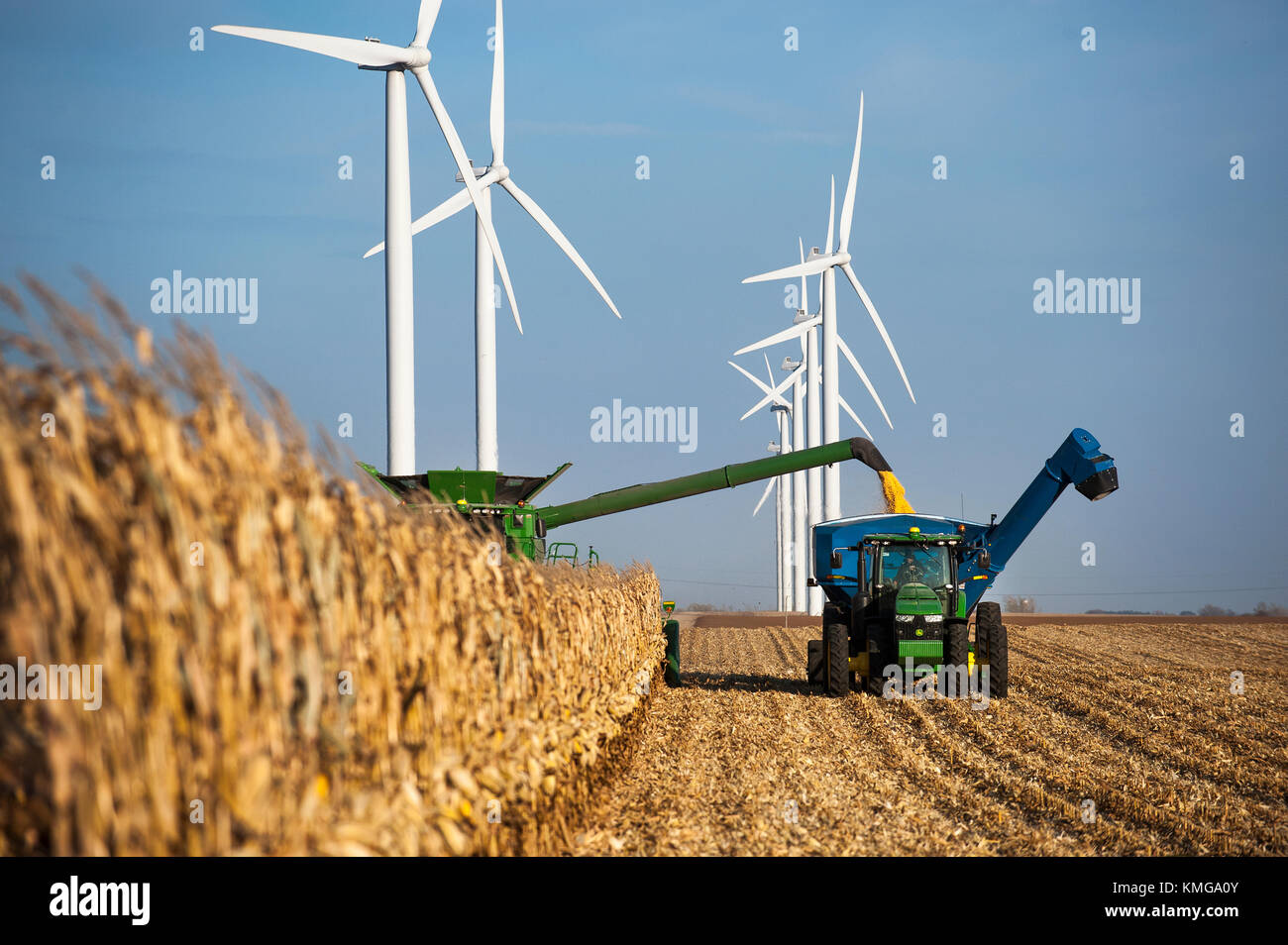 HARVESTING CORN WITH WINDMILLS IN BACKGROUND Stock Photo - Alamy