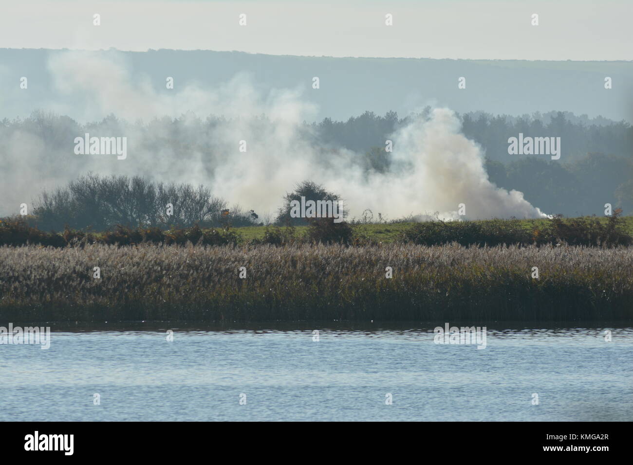 Autumn field fire Stock Photo - Alamy