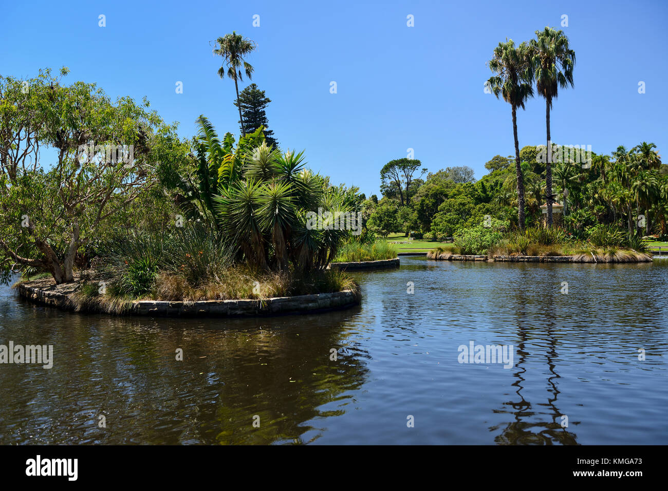 Australian garden pond hi-res stock photography and images - Alamy