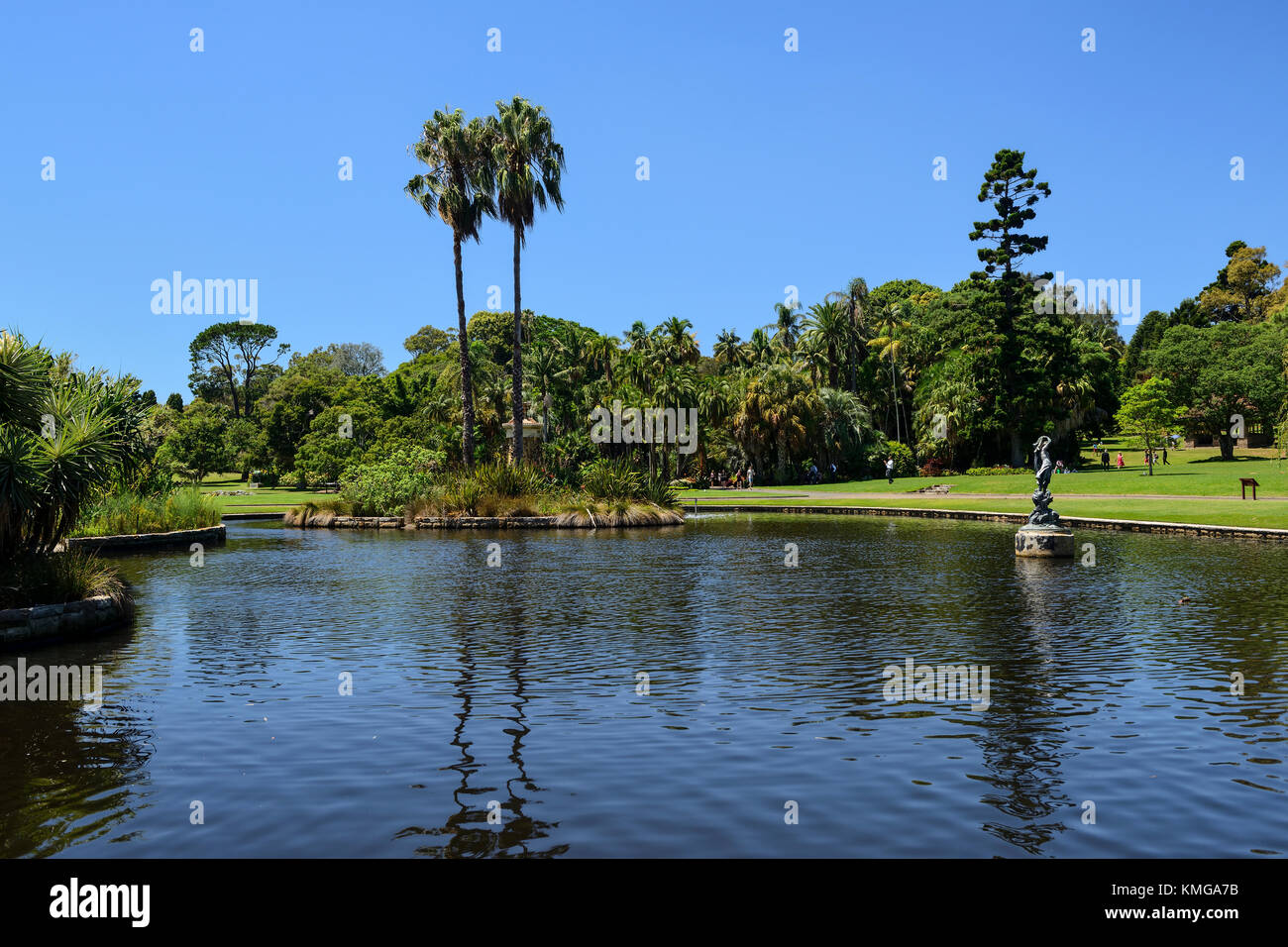 Australian garden pond hi-res stock photography and images - Alamy