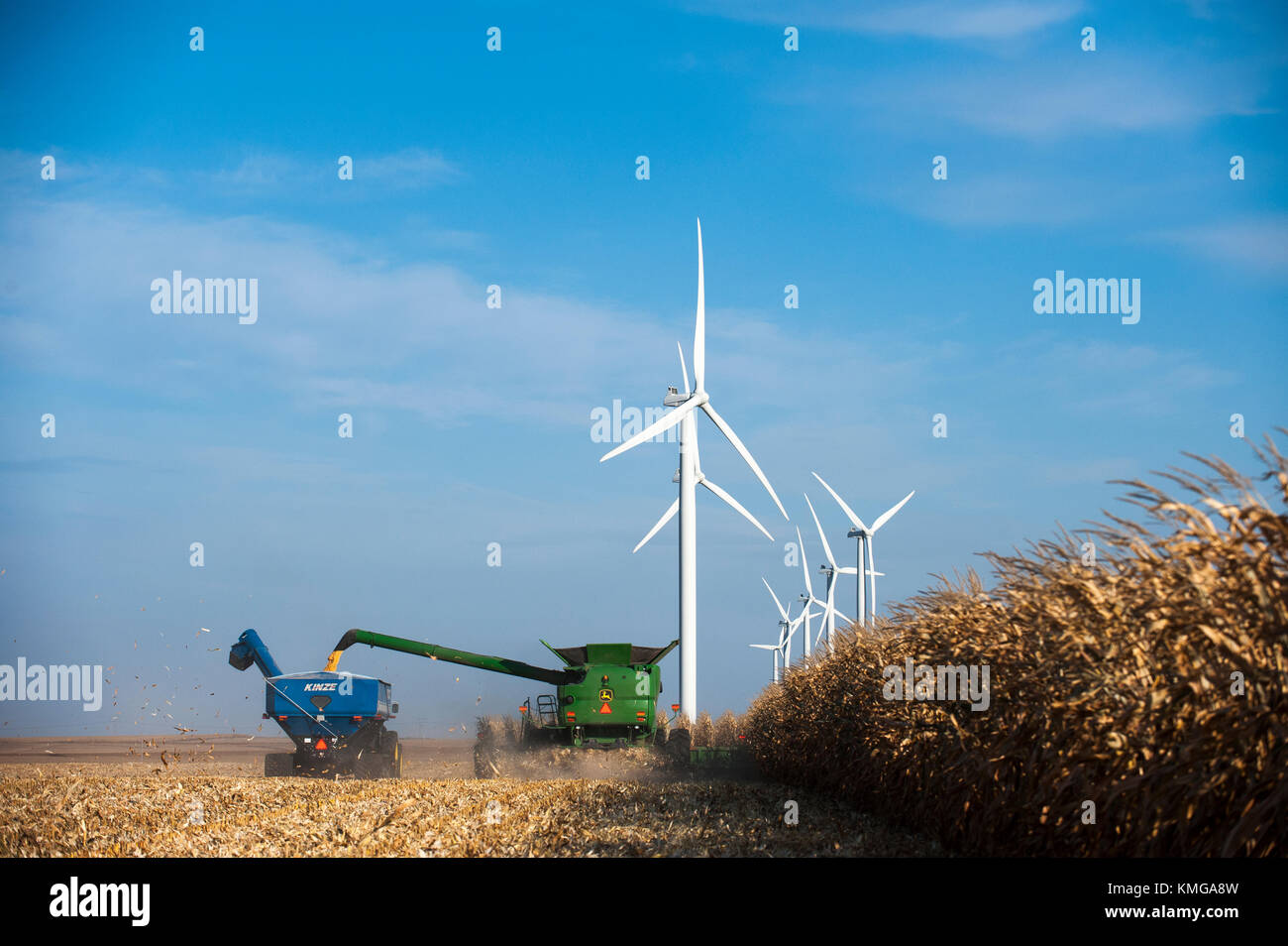 COMBINE LOADING CORN INTO HOPPER WITH VIEW OF WINDMILLS ON A FAMILY ...