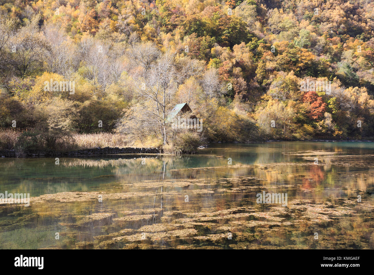 Sichuan China songpinggou autumn scenery Stock Photo - Alamy