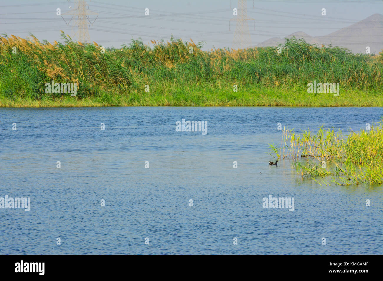 Green valley and lake hi-res stock photography and images - Alamy