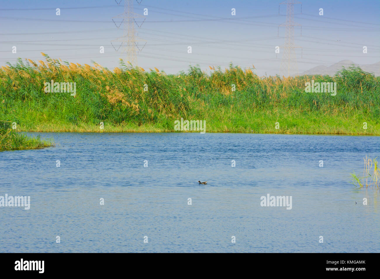 Green valley and lake hi-res stock photography and images - Alamy
