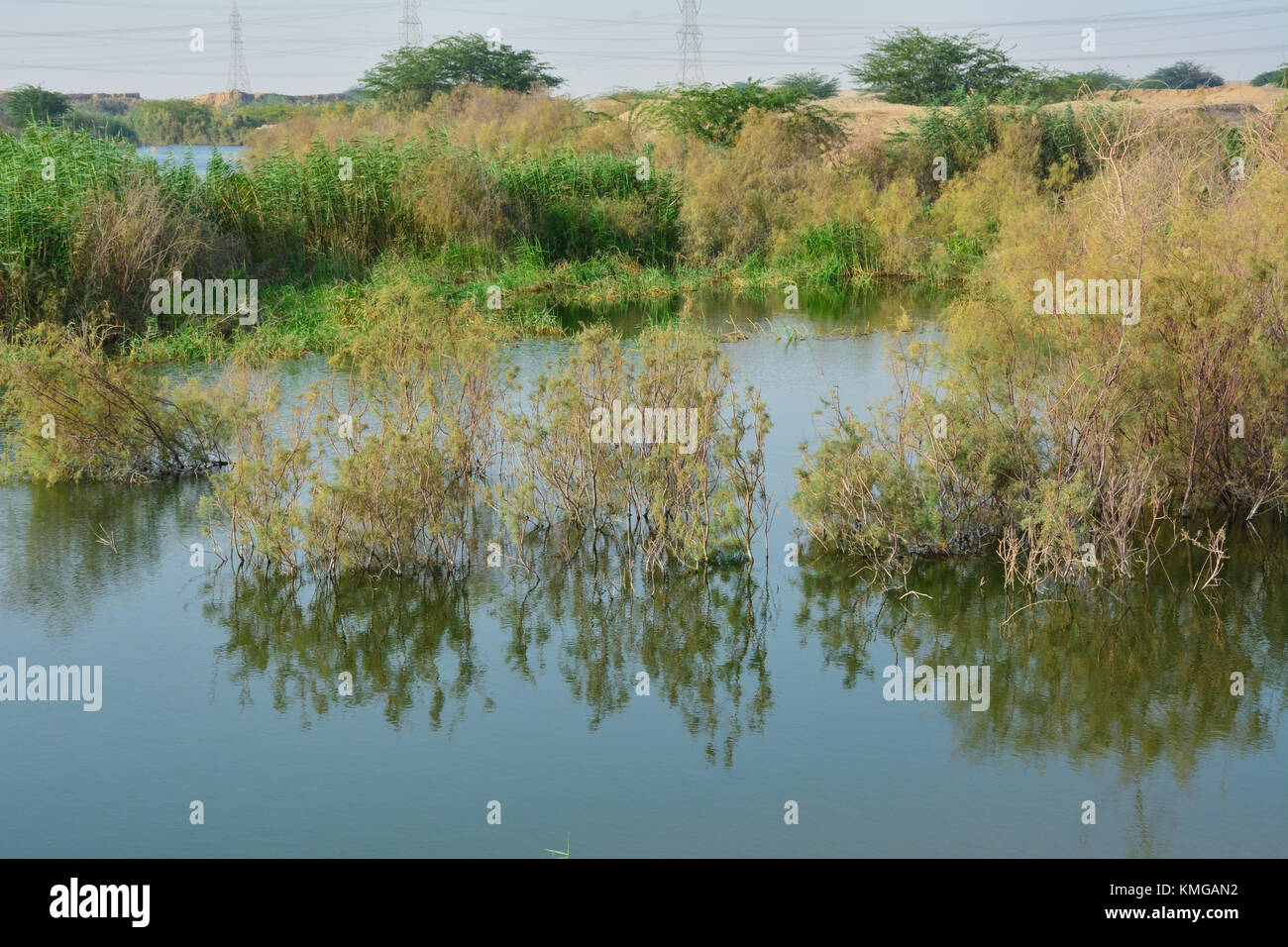Tree reflection on lake surface hi-res stock photography and images - Alamy