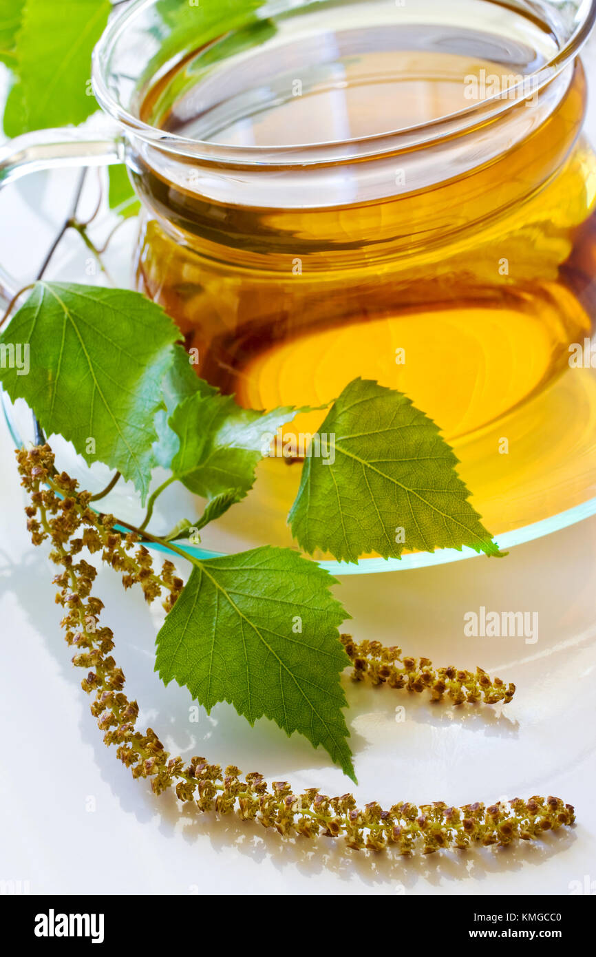 Betula pendula, birch tree tea in the glass cup - alternative medicine ...