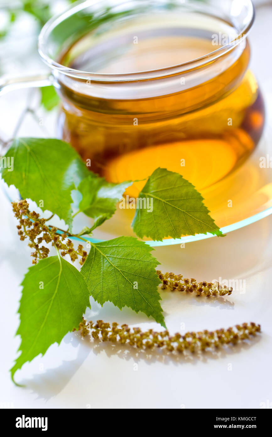 Betula pendula, birch tree tea in the glass cup - alternative medicine ...