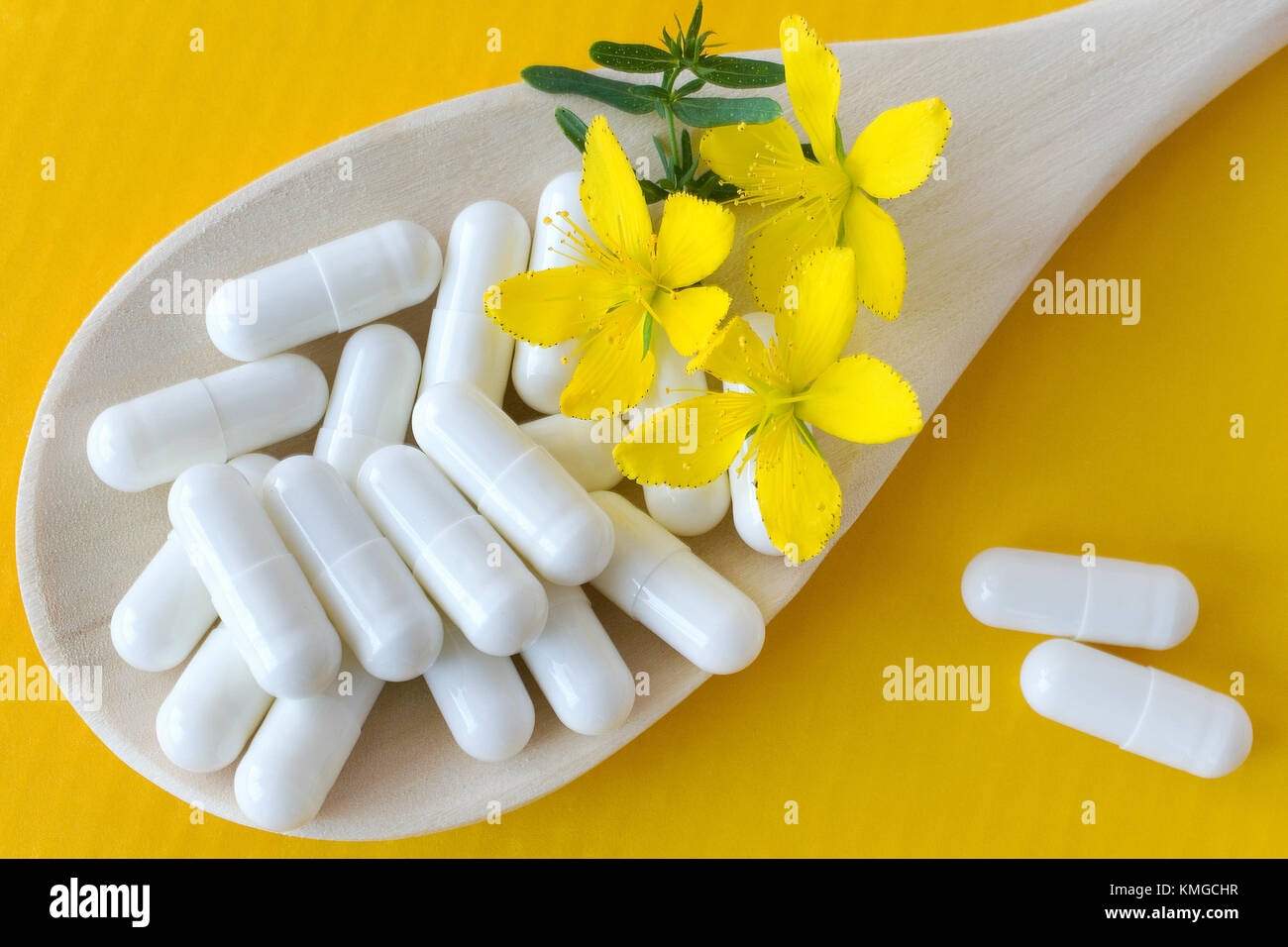 common St. John's wort fresh plant - hypericum perforatum - natural ...