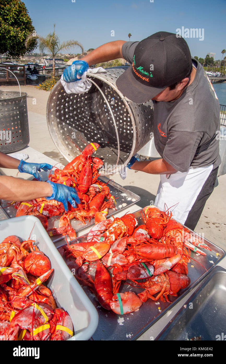 A chef serves fresh cooked lobsters from a hot cooking pot at an ...