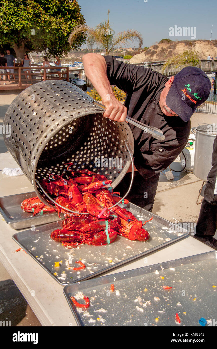 A chef serves fresh cooked lobsters from a hot cooking pot at an ...