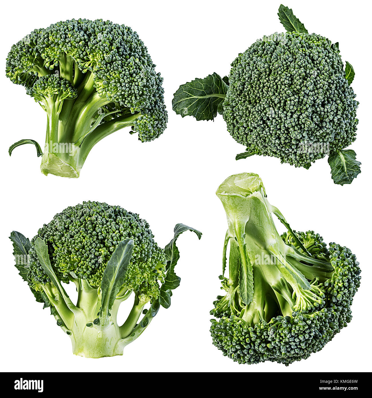Broccoli isolated on white background Stock Photo - Alamy
