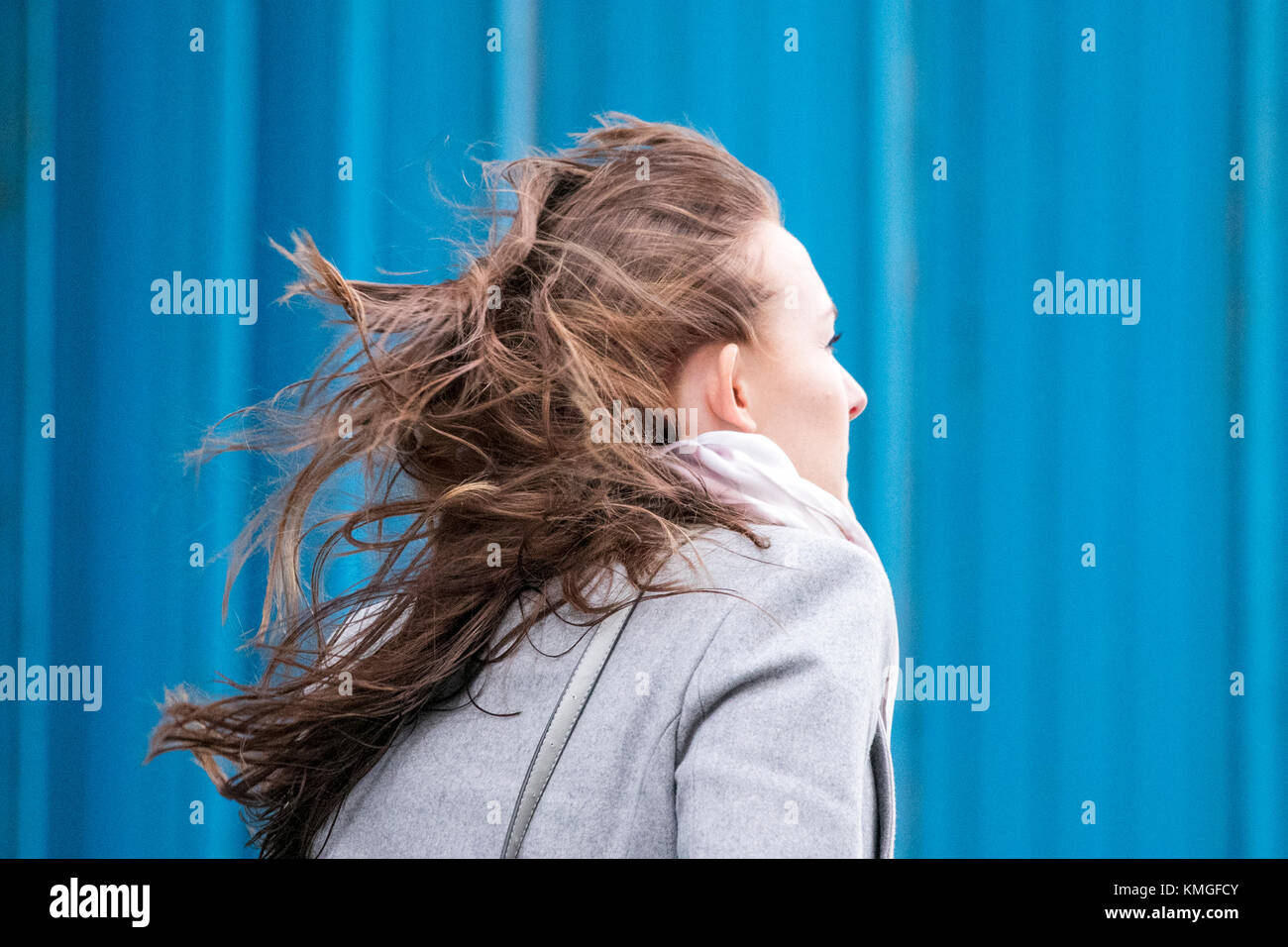 wind,hair,windswept,bad hair day,wind blown hair,long hair,female,face ...