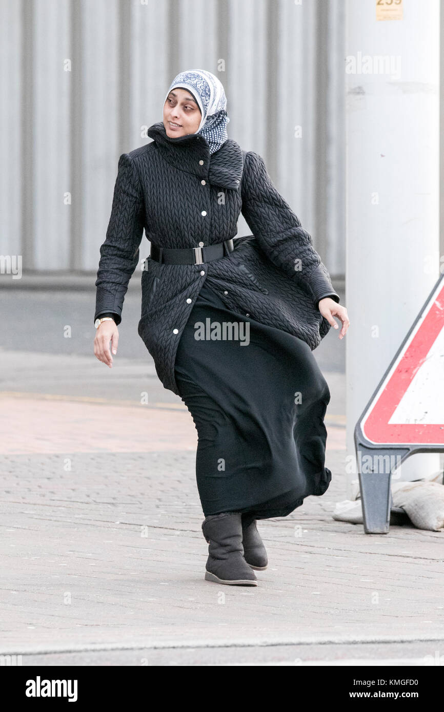 wind,hair,windswept,bad hair day,wind blown hair,long hair,female,face ...