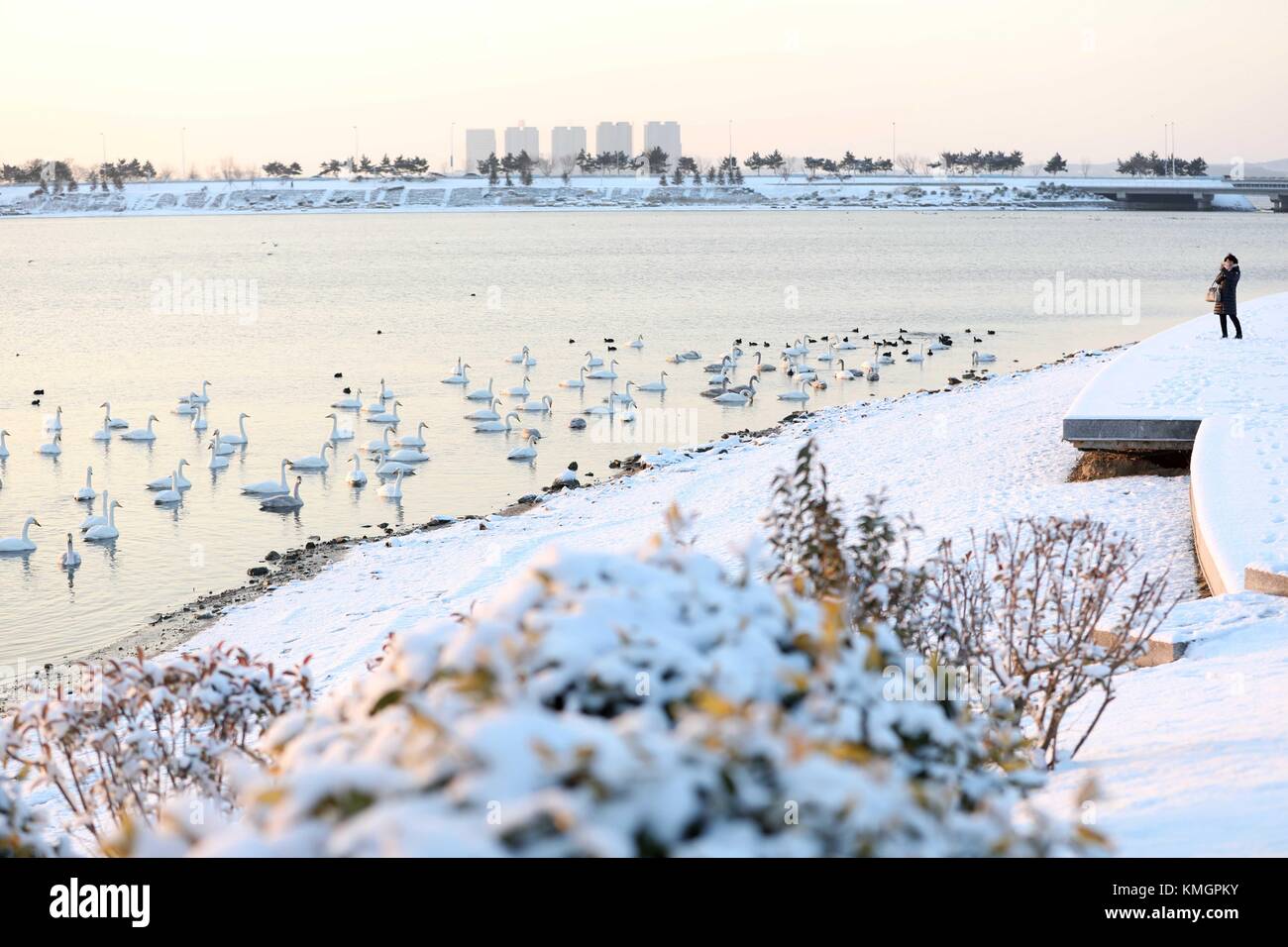 Rongchen, Rongchen, China. 8th Dec, 2017. Rongcheng, CHINA-5th December ...