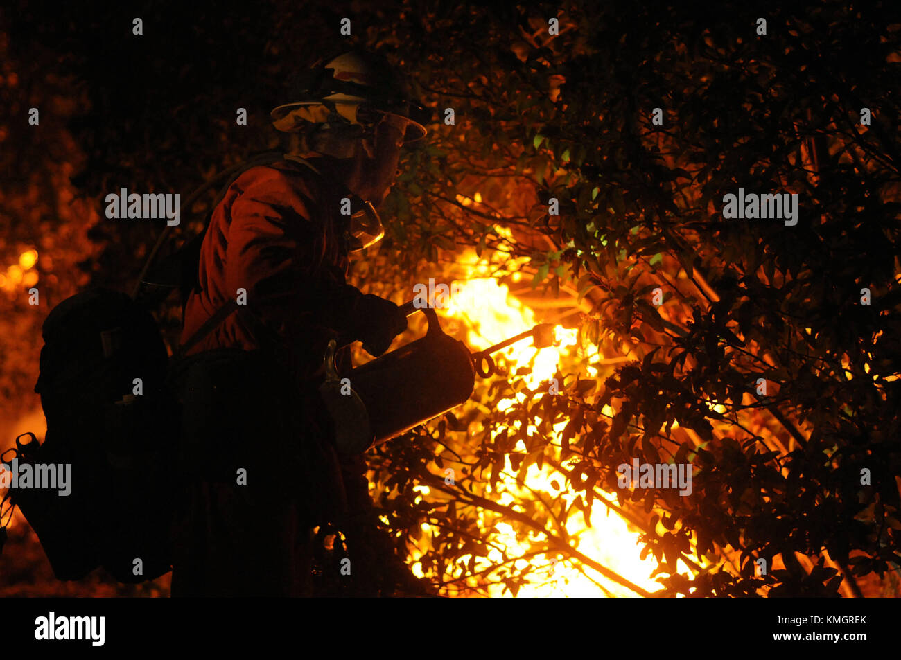 Ojai, California, USA. 7th Dec, 2017. Cal Fire inmate firefighters ...