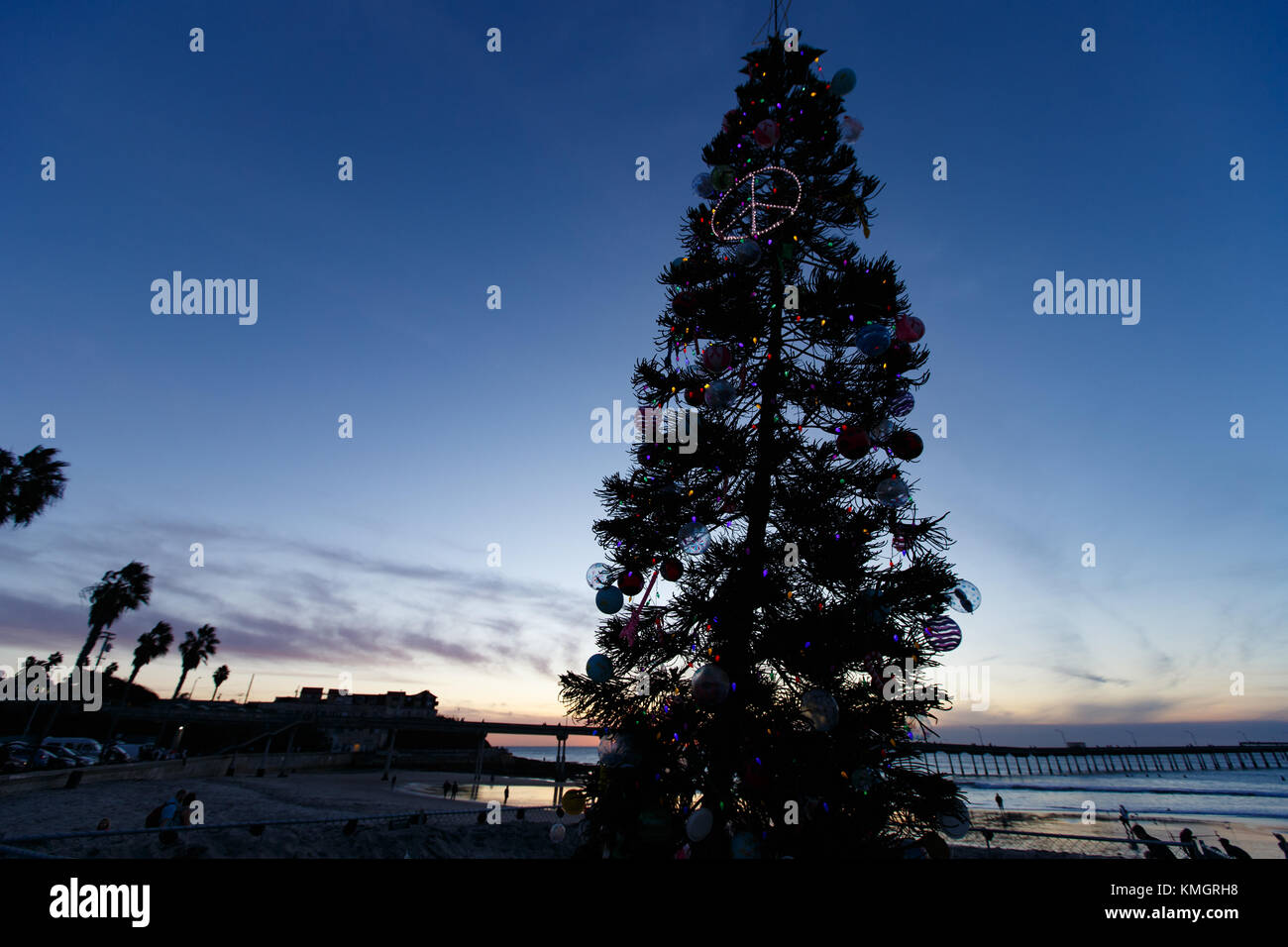 Christmas tree with palm trees on the beach hi-res stock photography ...