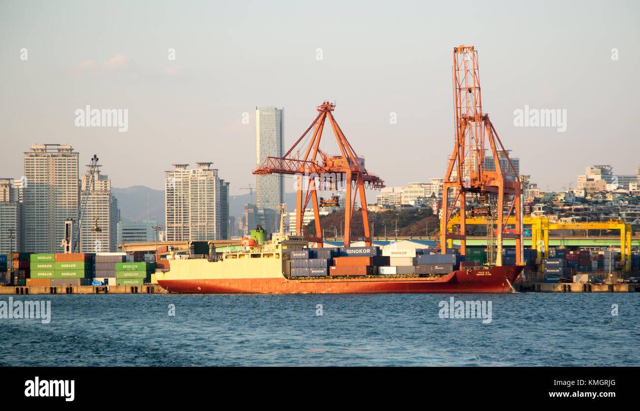 Sinokor ulsan ship hi-res stock photography and images - Alamy