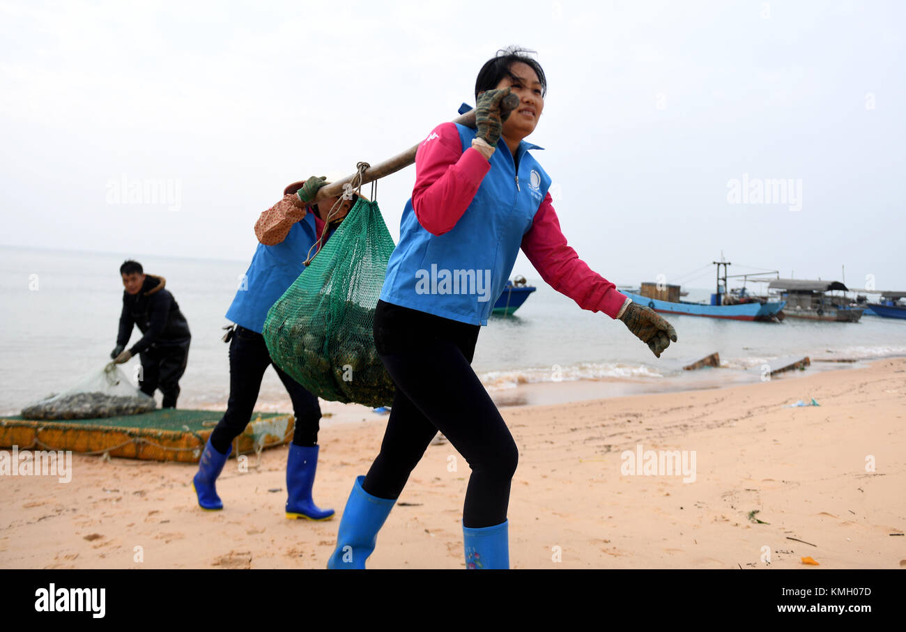 Hepu, China's Guangxi Zhuang Autonomous Region. 7th Dec, 2017. Pearl ...