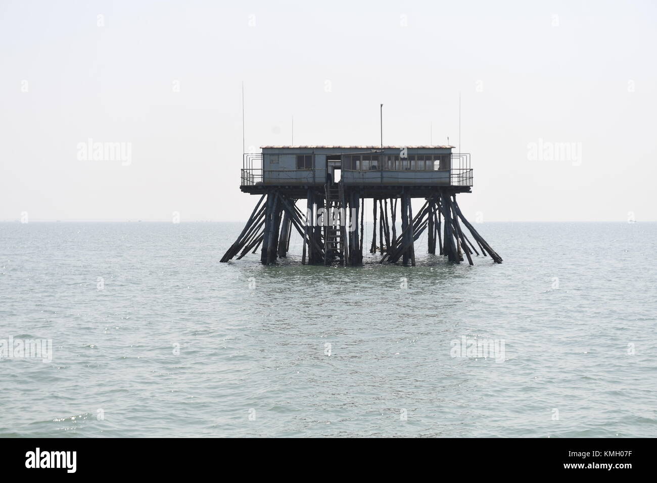 Hepu. 1st Nov, 2017. Photo taken on Nov. 1, 2017 shows the pearl ...