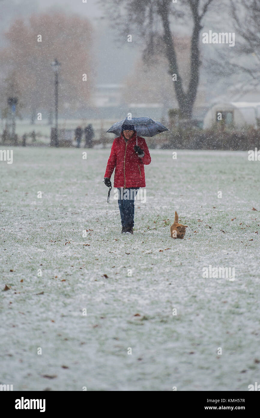 Still need walking hi-res stock photography and images - Alamy