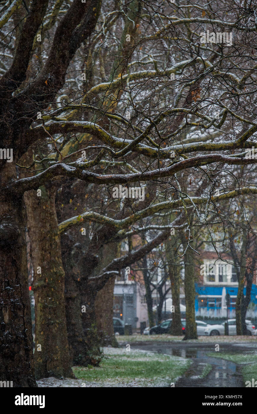 Clapham Common, London. 10th Dec, 2017. The avenue is normally home to ...