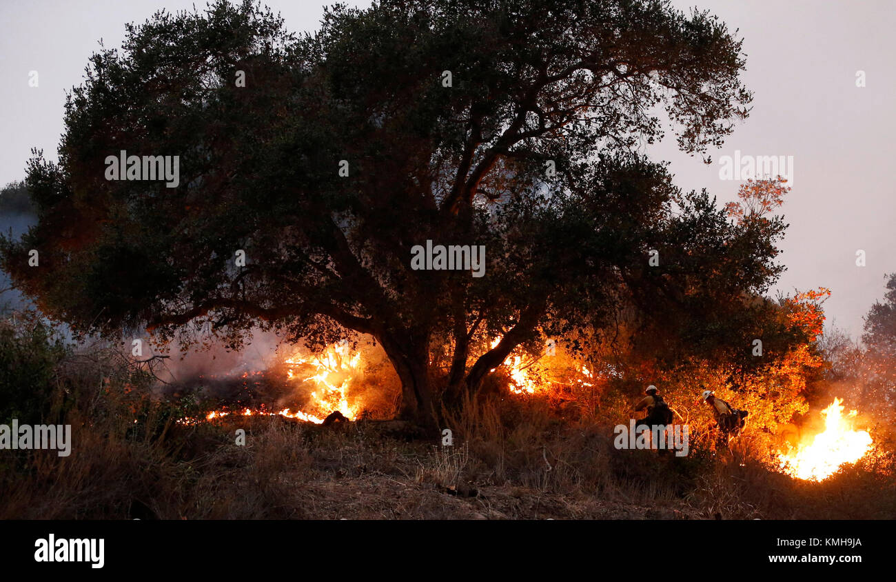 Carpinteria, USA. 11th Dec, 2017. Two firefighters work at a fire spot ...