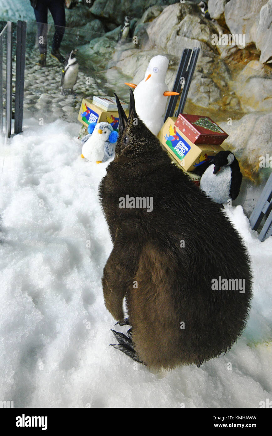 Newborn king hi-res stock photography and images - Alamy