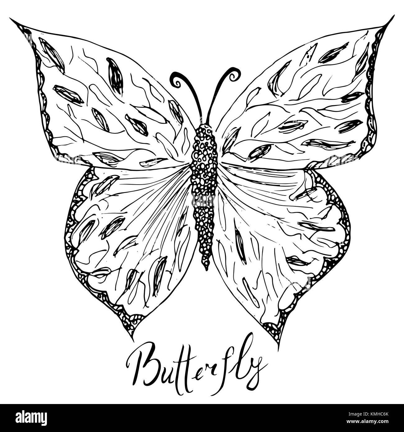 Ornamental hand drawn sketch of Butterfly abstract. vector illustration ...