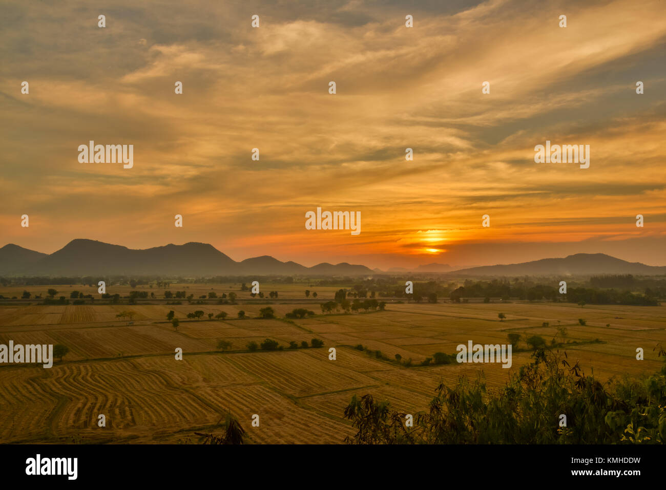 After harvesting rice farm in sunset atmoshere Stock Photo - Alamy