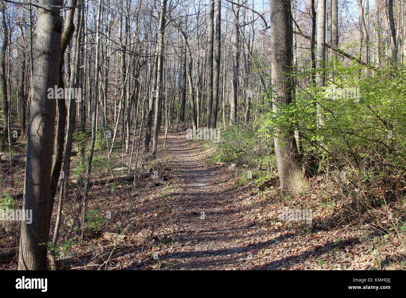 Map of forest park ohio hi-res stock photography and images - Alamy
