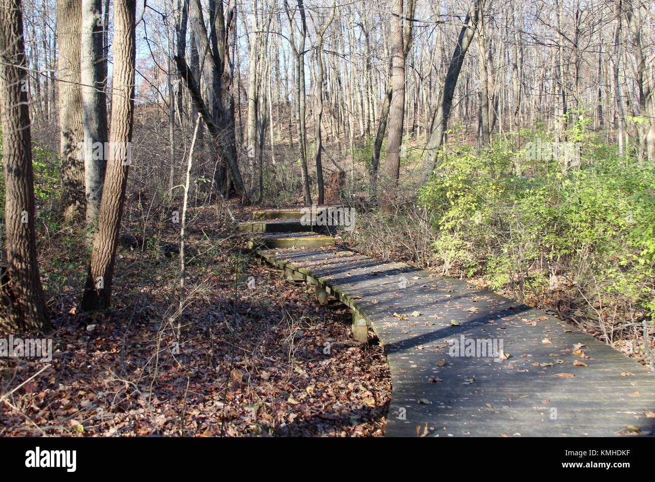 Map of forest park ohio hi-res stock photography and images - Alamy