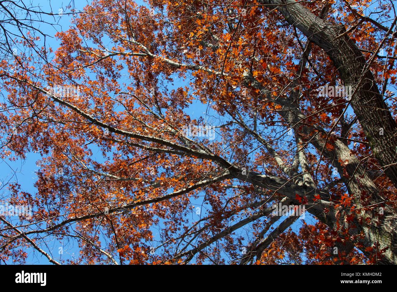 Map of forest park ohio hi-res stock photography and images - Alamy