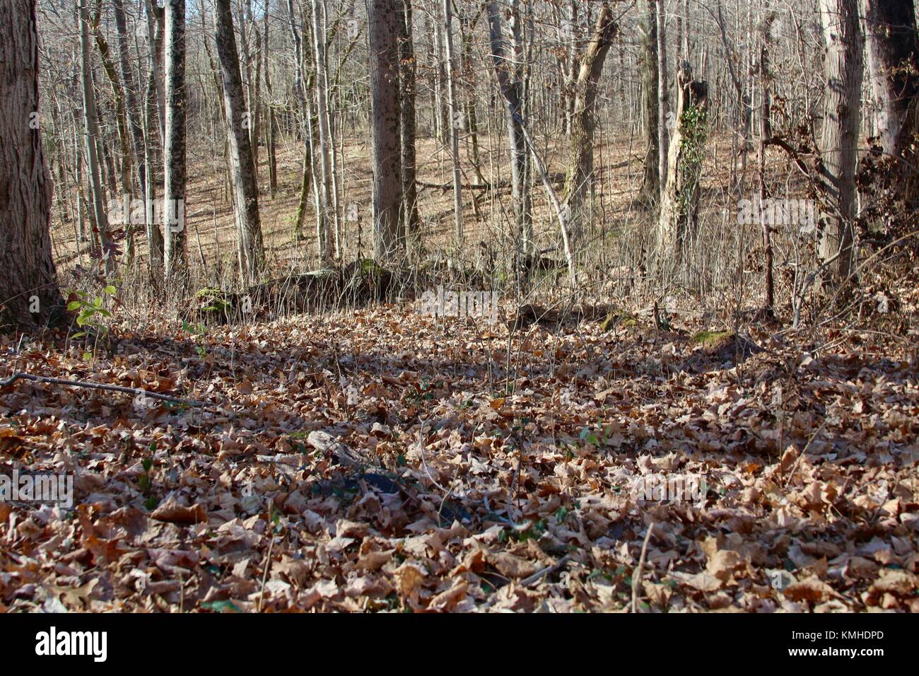 Map of forest park ohio hi-res stock photography and images - Alamy