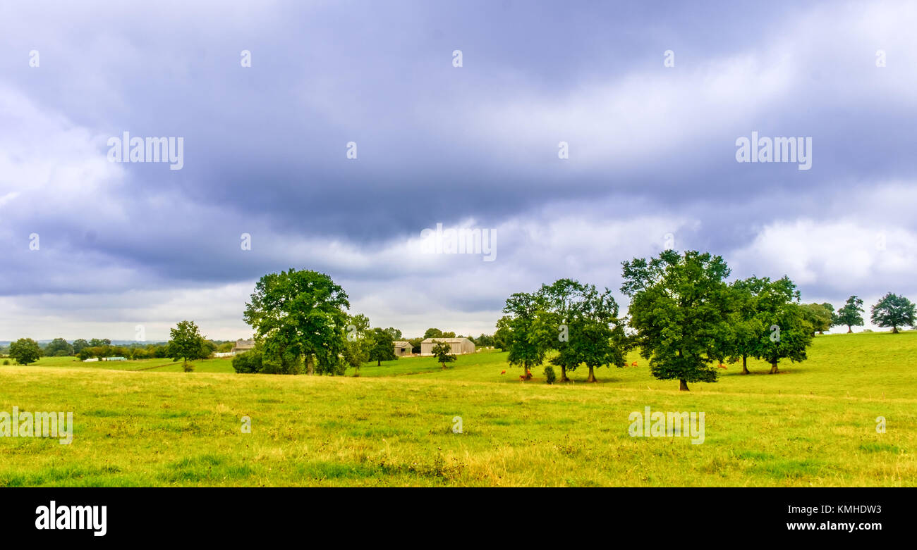 Normandy countryside landscape on a overcast day in summer, France ...