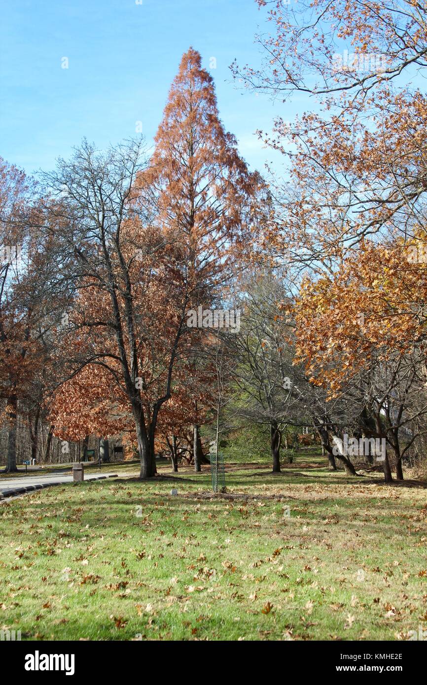 Map of forest park ohio hi-res stock photography and images - Alamy