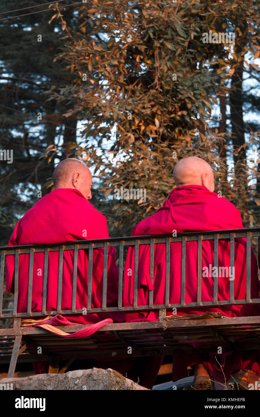 Monk Sitting Stock Photos & Monk Sitting Stock Images - Alamy
