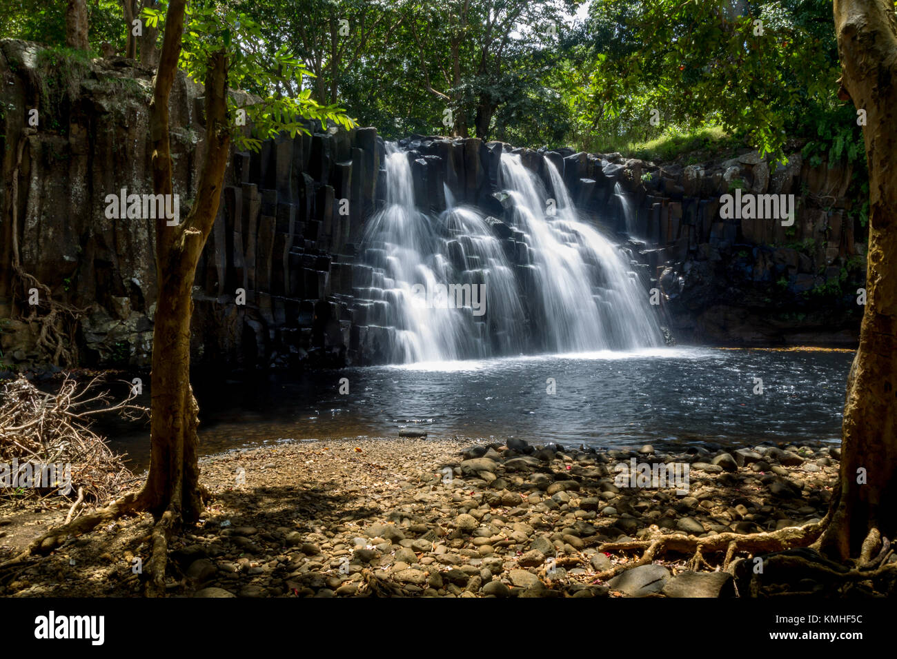 Mauritius rainforest hi-res stock photography and images - Alamy